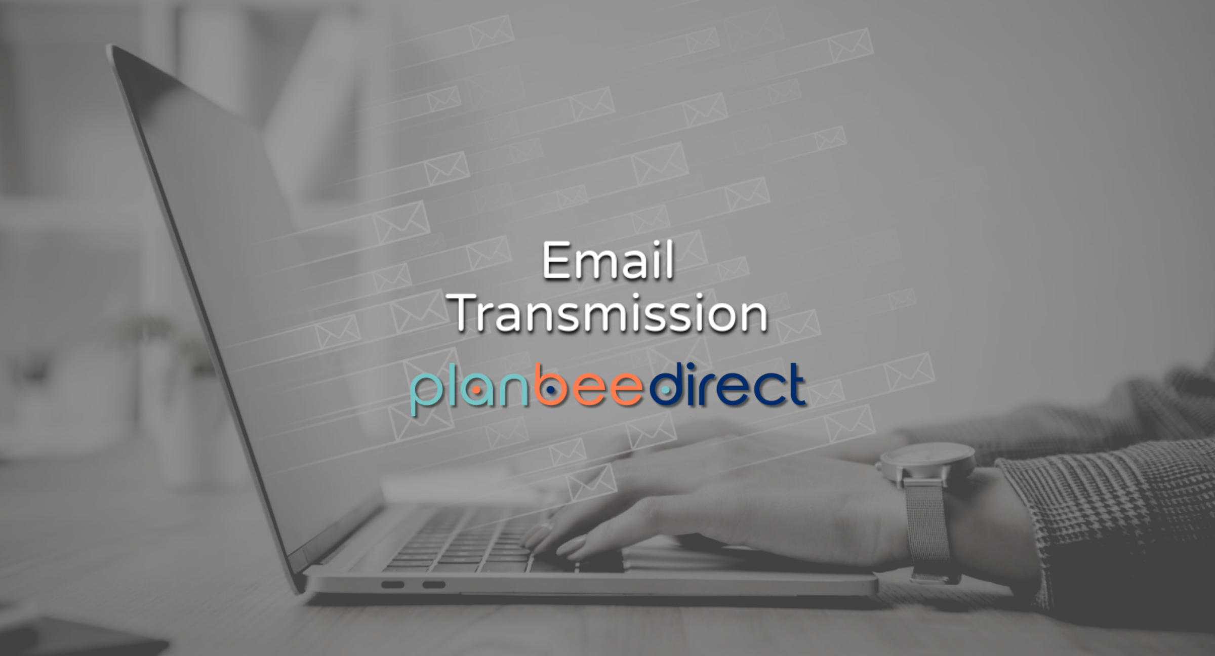 Email Marketing Services - Plan Bee Direct